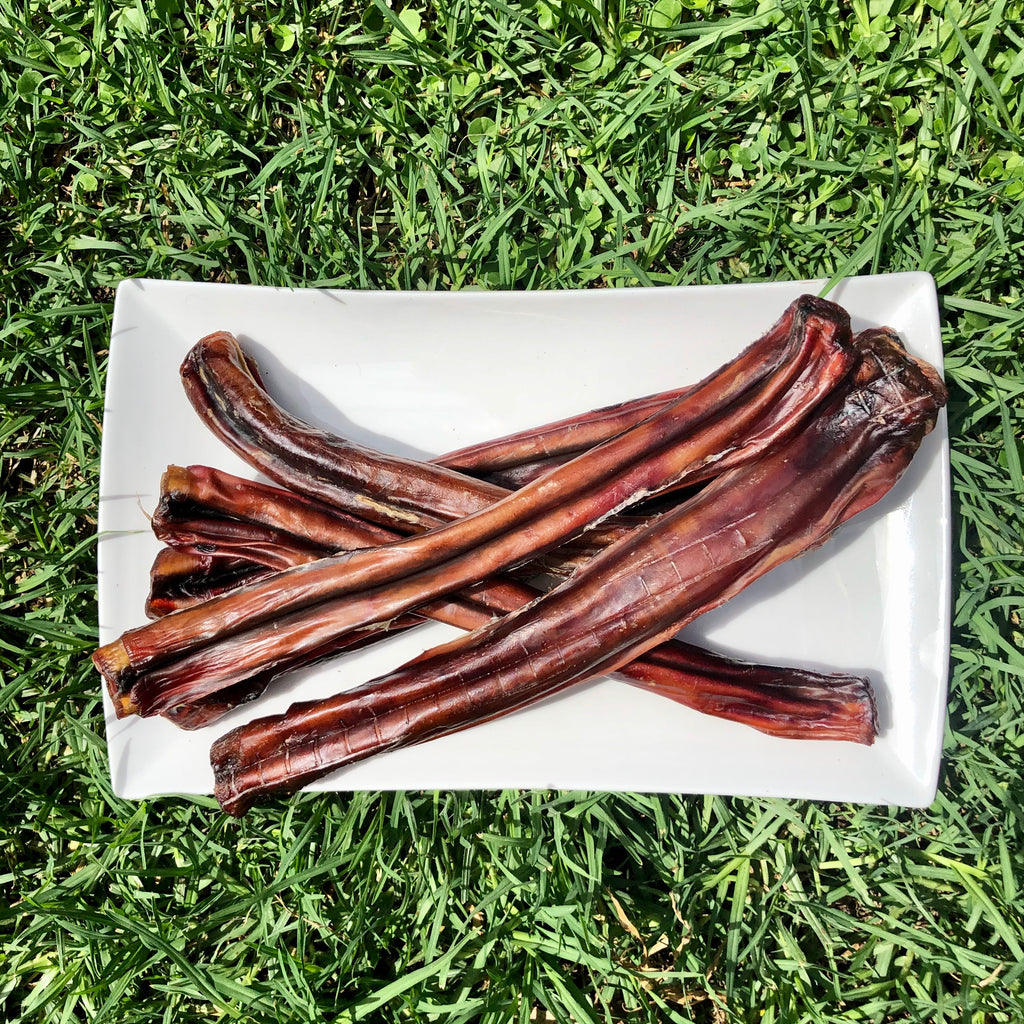 Choco’s Pizzle Pieces - Thick n Long – SkinnyDog Pet Treats